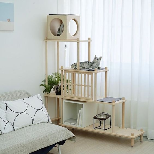 Creating a Cozy, Cat-Friendly Space in Limited Living Areas: Tips for