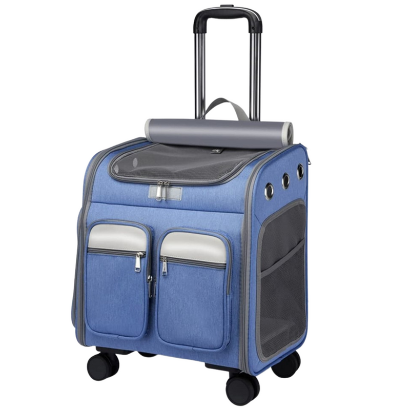 Buy Cat Carrier Bags & Strollers in Singapore - Soft Loft