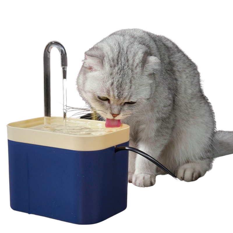 Shop Travel, Classic & Automatic Pet Feeders - Soft Loft